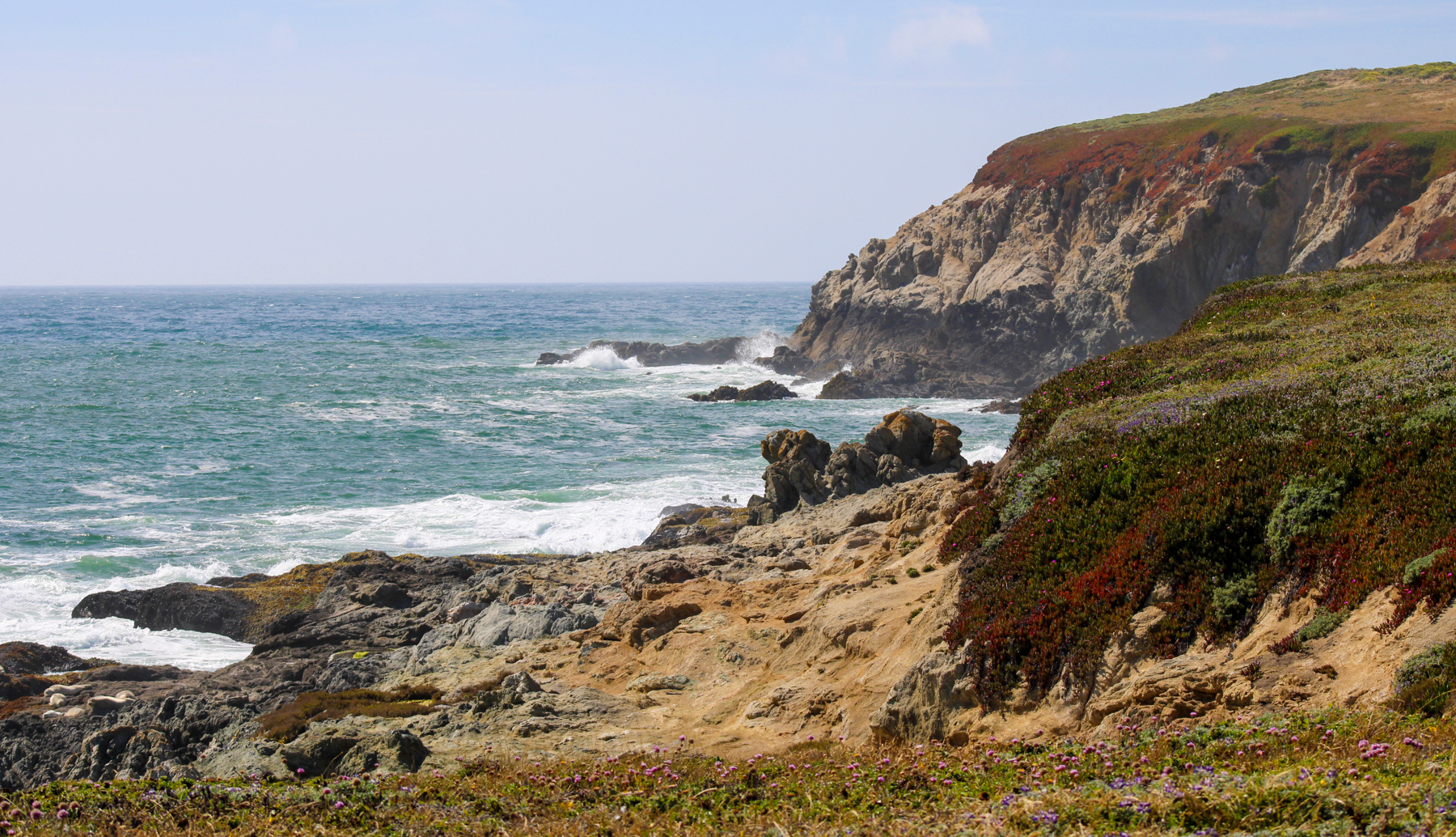 Bodega Head – Here Be Dragons